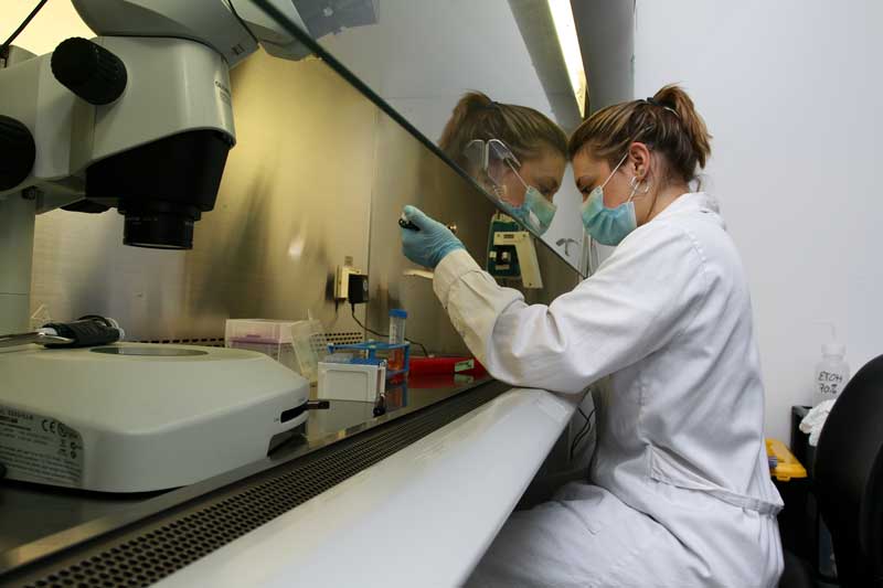 Join our lab – CONSIGLIO LAB